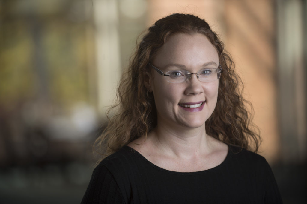 Introducing the MN Opera Orchestra Musicians Performing in The ...